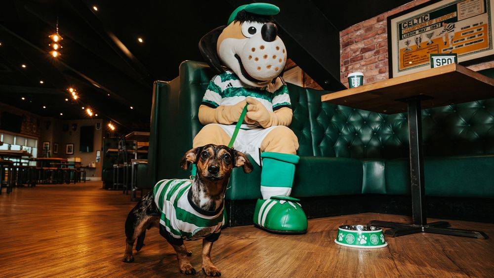 Sports Bar at Celtic Park now dog friendly on non-matchdays - Celtic FC ...