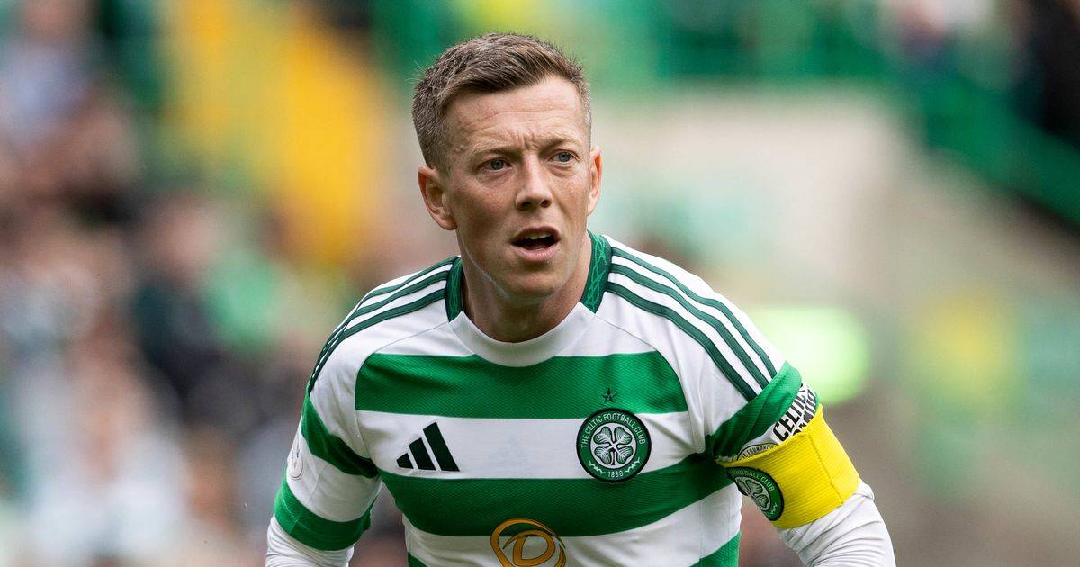 Callum McGregor has theory on how Celtic can thrive in brand spanking ...